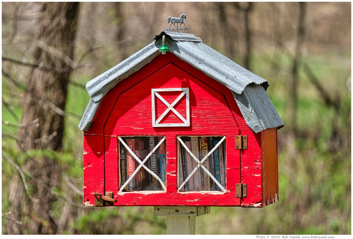 Solve Little Free Library jigsaw puzzle online with 12 pieces