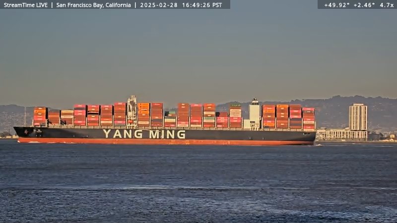 Solve YM Trophy 2/28/25 jigsaw puzzle online with 84 pieces