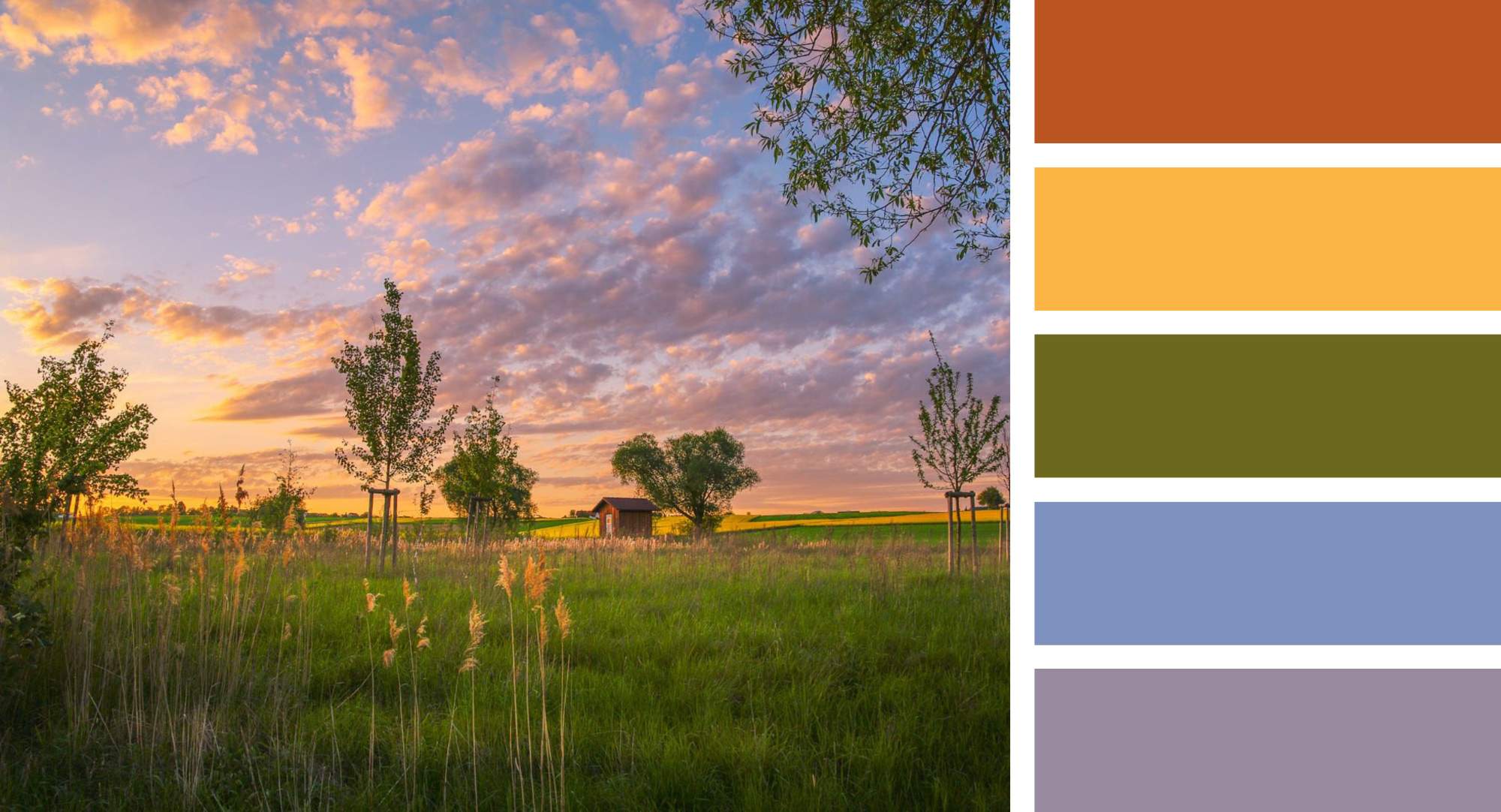 Solve The Colours of Spring jigsaw puzzle online with 276 pieces