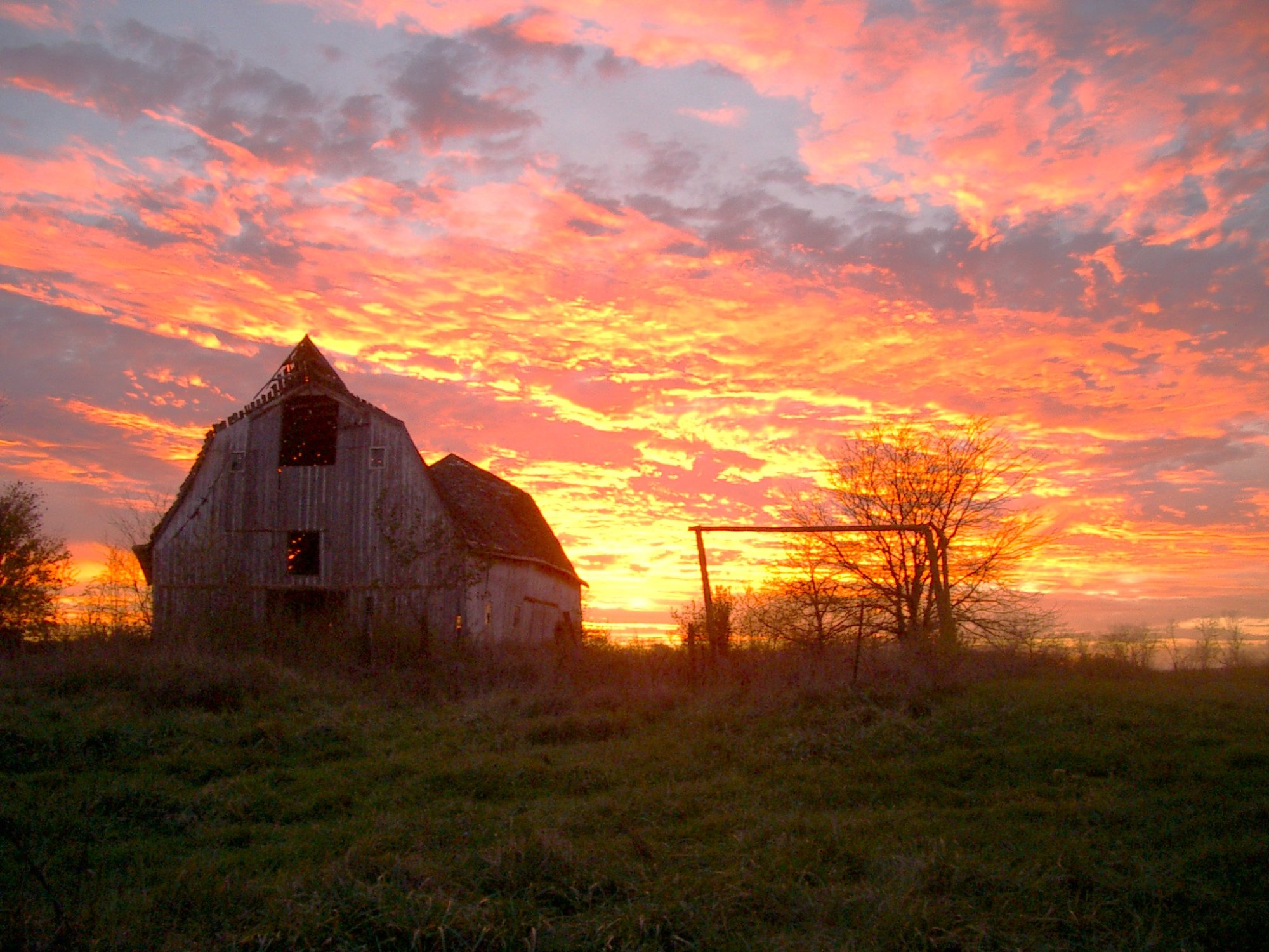 Solve Past my prime jigsaw puzzle online with 99 pieces