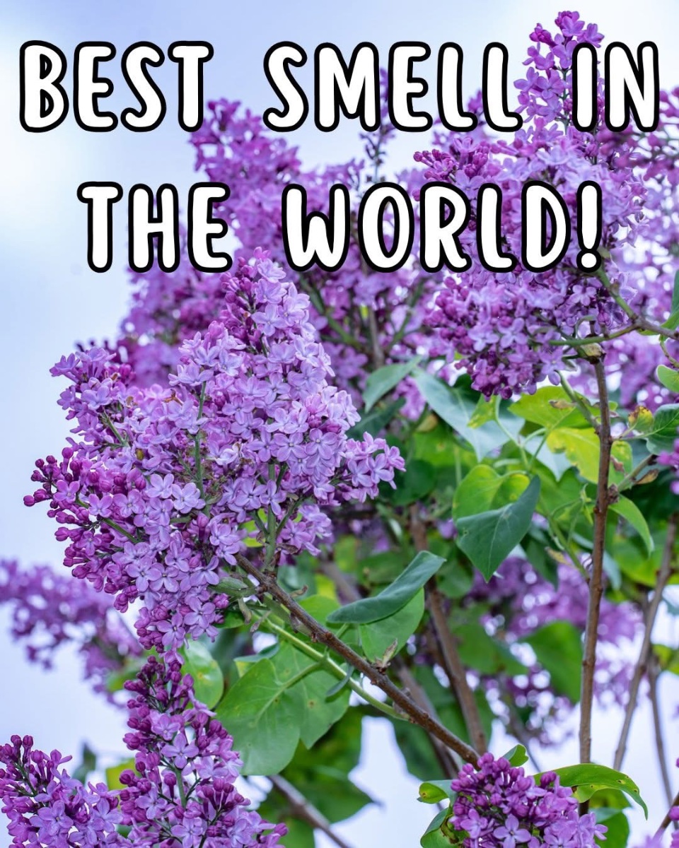 Solve True jigsaw puzzle online with 30 pieces