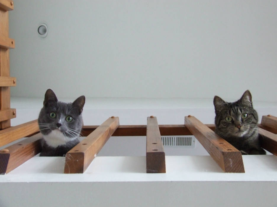 Solve Delicate conversation! Just before the Ball dropped! jigsaw ...