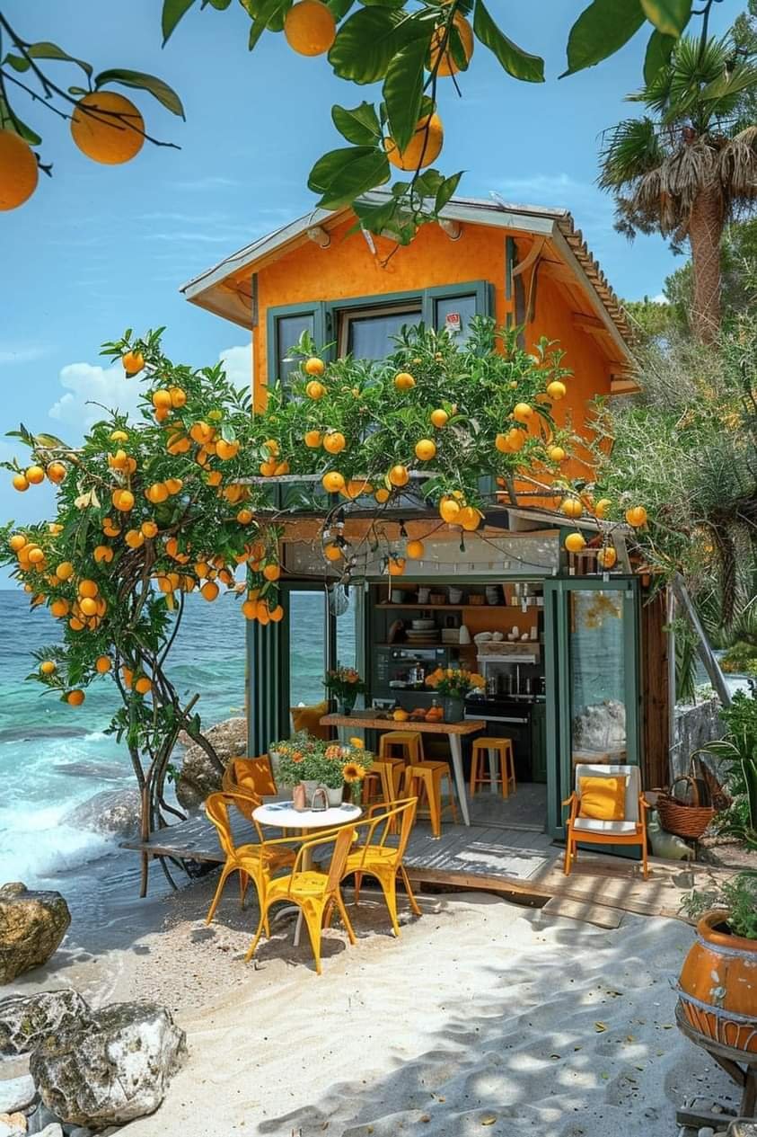 Solve FB_IMG_1716740731694 jigsaw puzzle online with 294 pieces