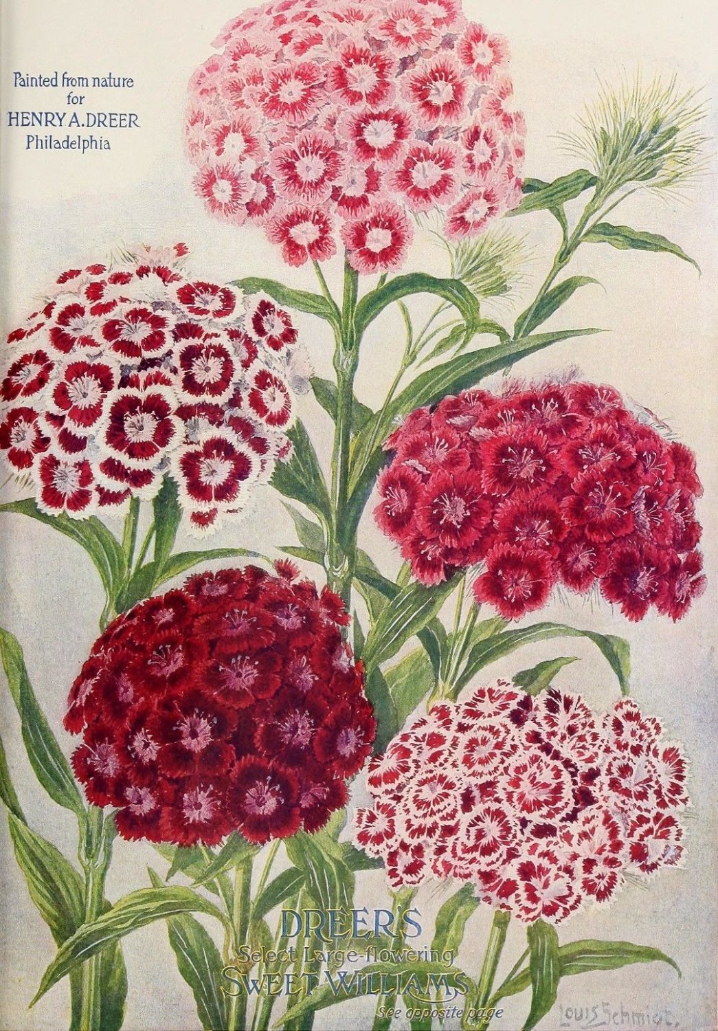 Solve Happy Day of Summer jigsaw puzzle online with 96 pieces