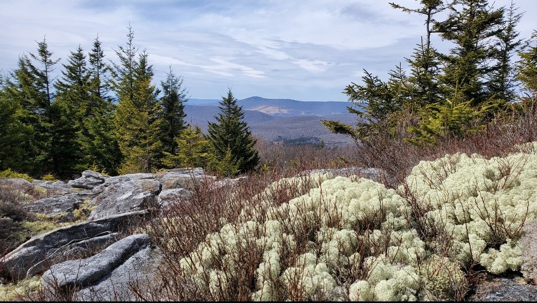 Solve SPRUCE KNOB 4863ft - WV HIGH POINT by Craig Acheson jigsaw puzzle ...