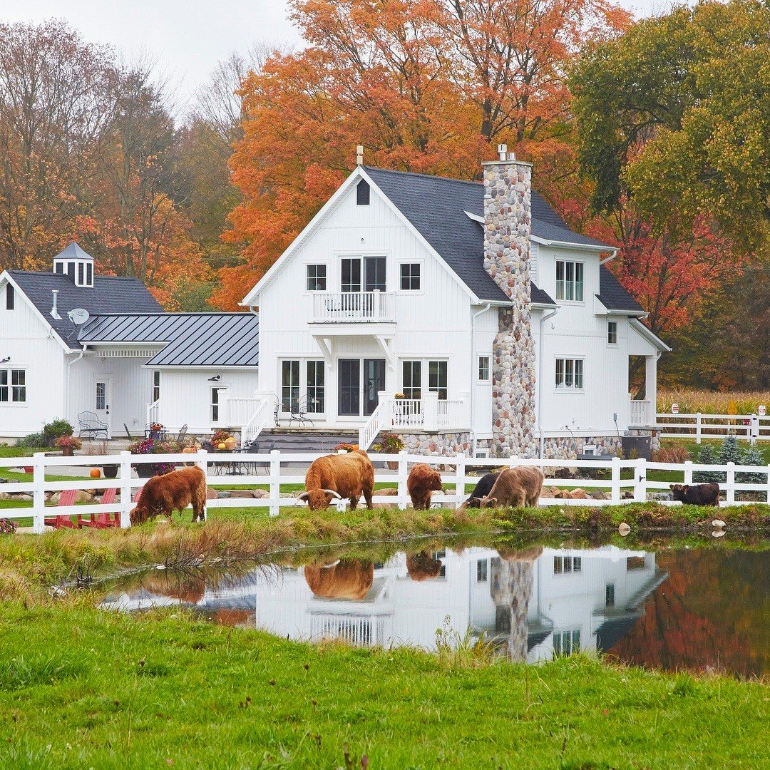 Solve Cattle up close to the house jigsaw puzzle online with 36 pieces