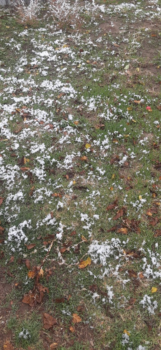 Solve Our first snow jigsaw puzzle online with 18 pieces