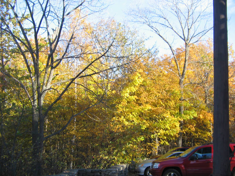 Solve Door County, Wisconsin Today jigsaw puzzle online with 12 pieces