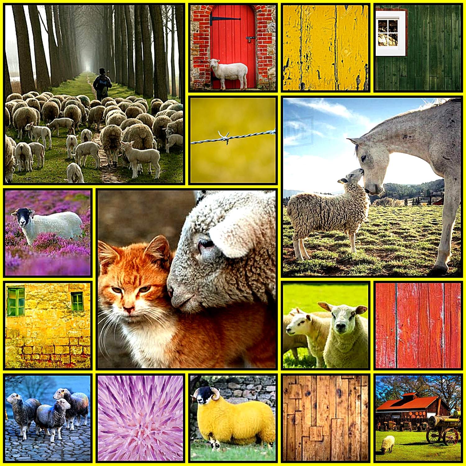 Solve Sheep on the Farm jigsaw puzzle online with 169 pieces