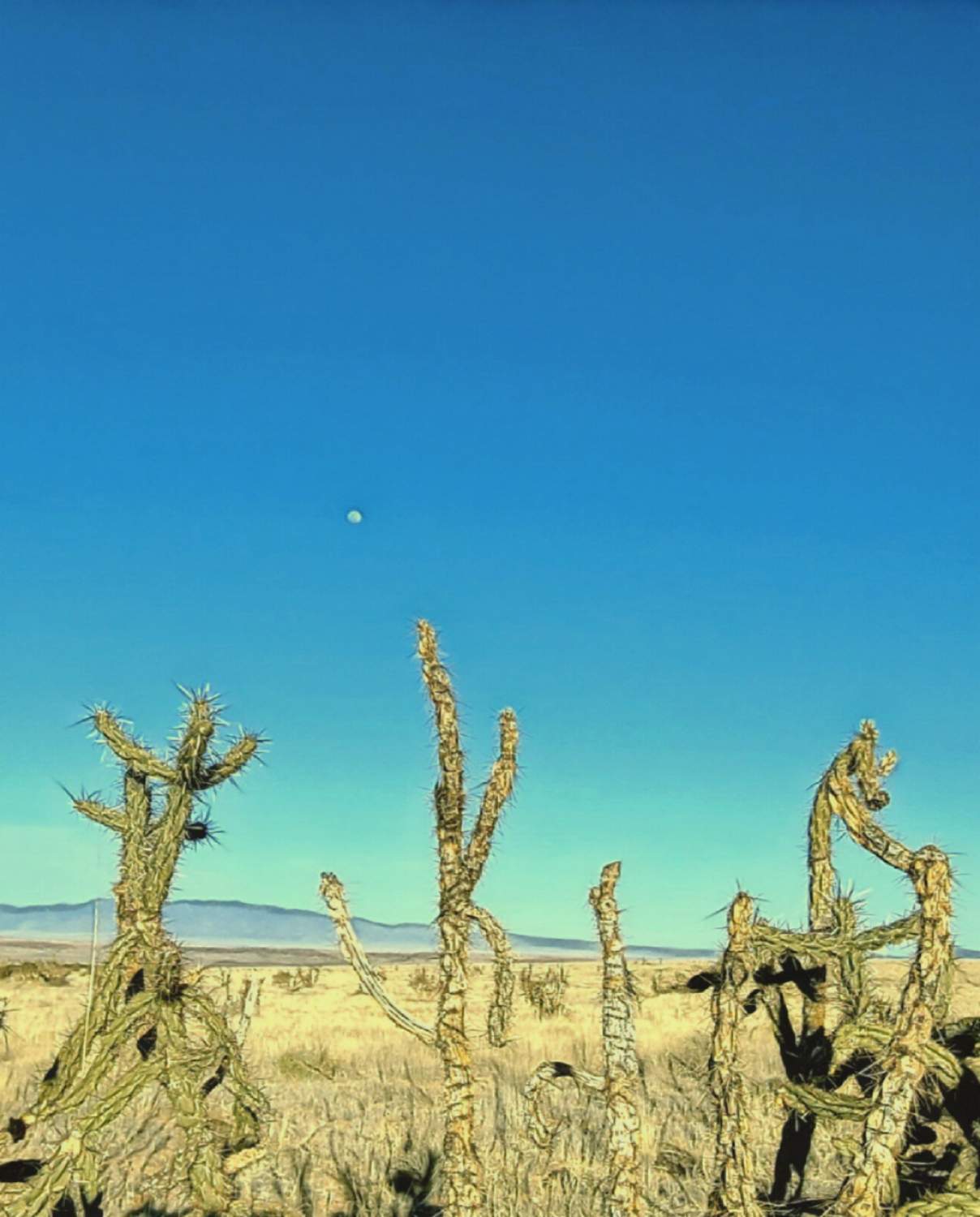 Solve Barrel #81 jigsaw puzzle online with 320 pieces