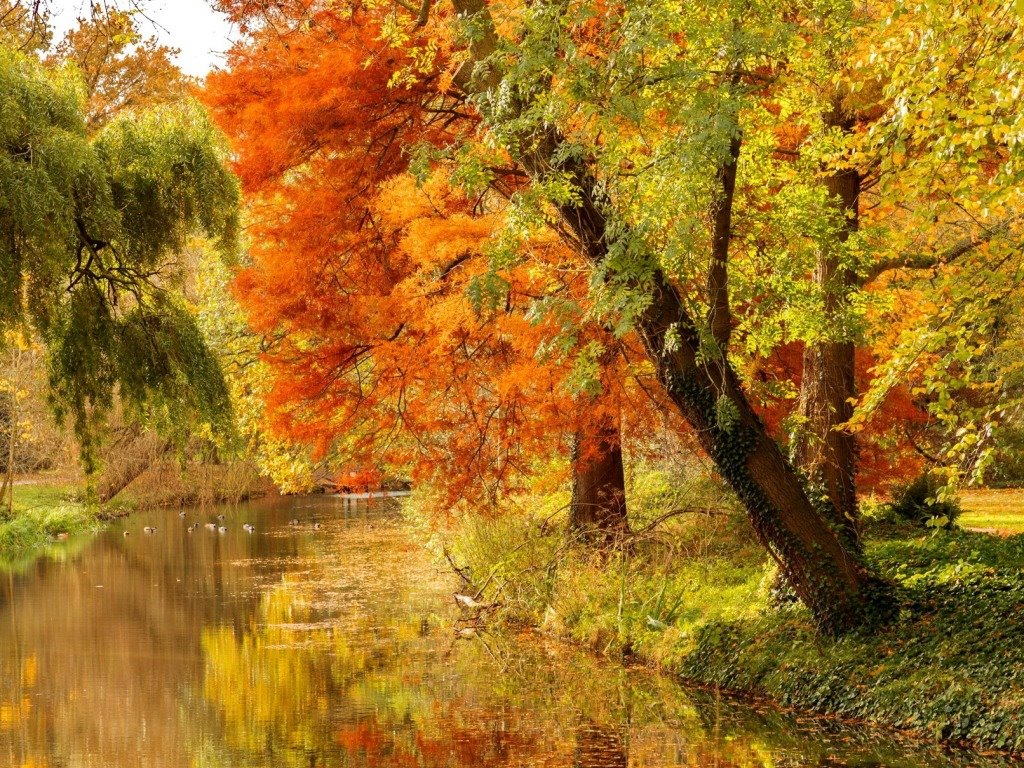 Solve autumn stream jigsaw puzzle online with 63 pieces