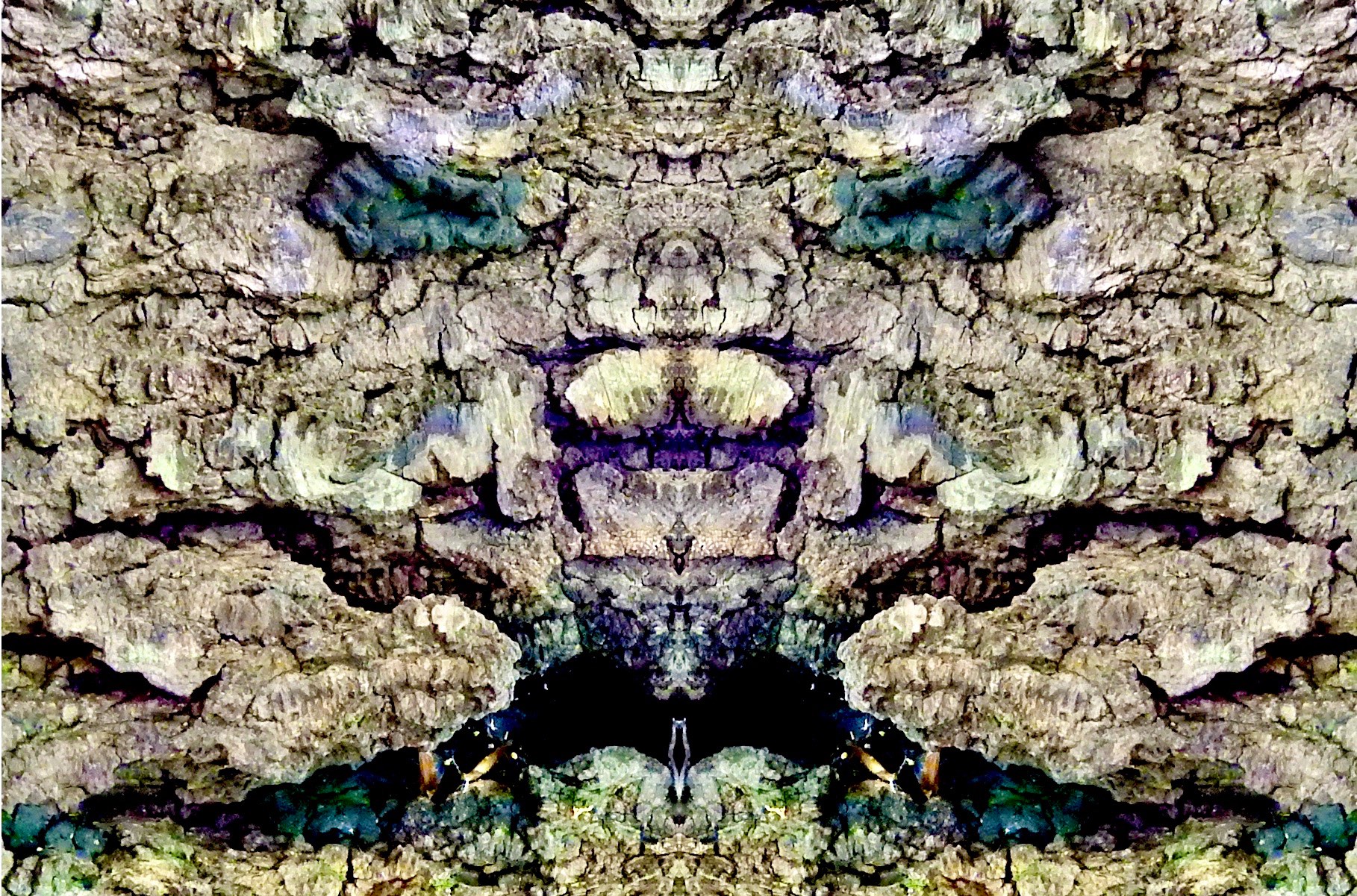 Solve The Trees Have Eyes jigsaw puzzle online with 96 pieces