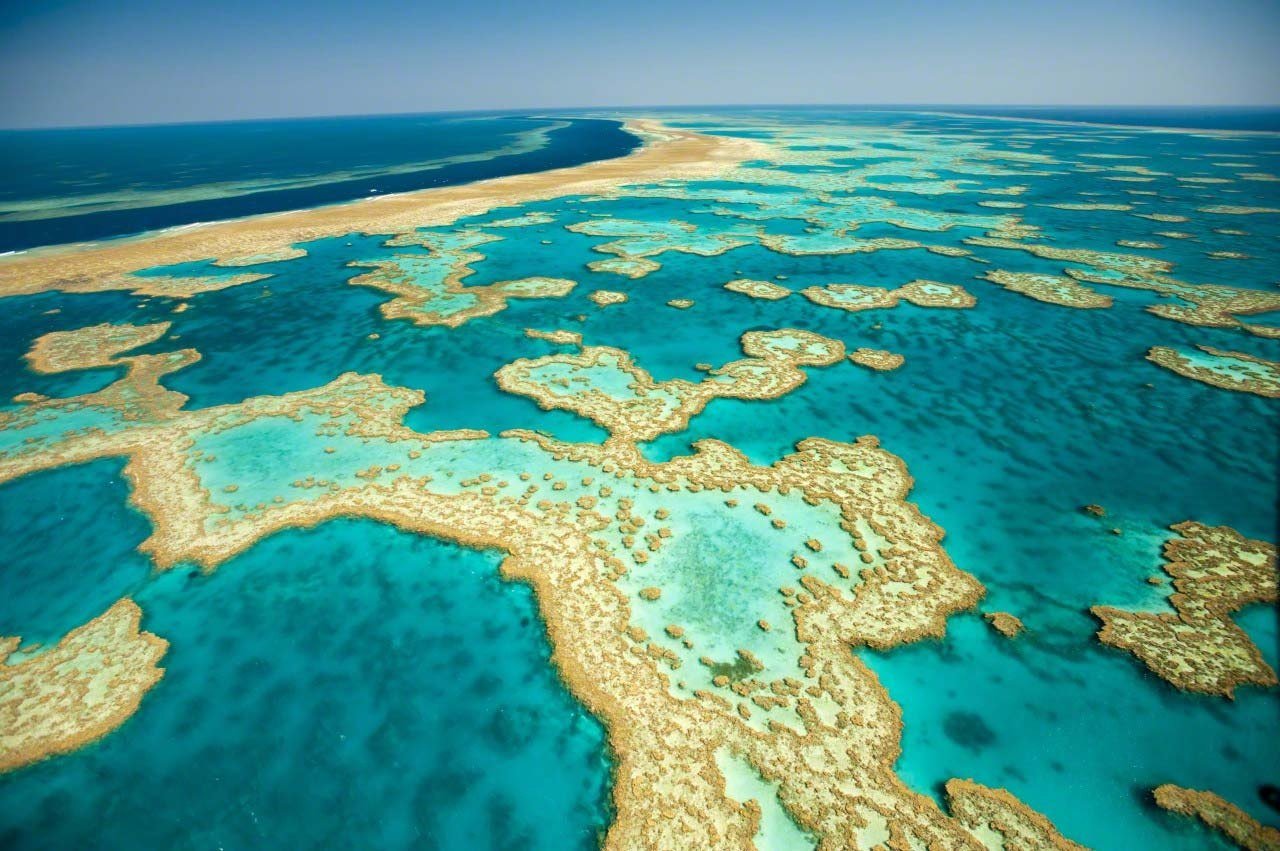 Solve Great Barrier Reef - Australia jigsaw puzzle online with 70 pieces