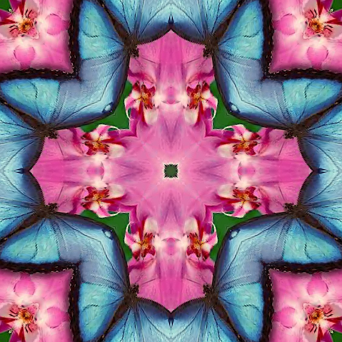 Solve #2 very small jigsaw puzzle online with 25 pieces