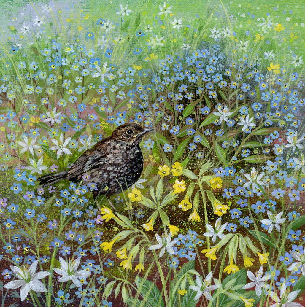 Solve Seasonal Art - Spring Birds - Blackbird Baby & Forget me Nots ...