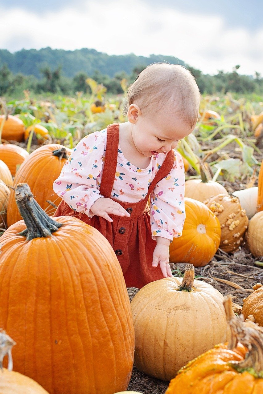 Solve Her First Pumpkin Patch jigsaw puzzle online with 77 pieces
