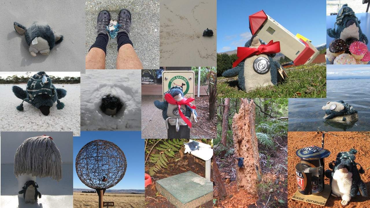 Solve Pengi's Photo Album - 01 jigsaw puzzle online with 252 pieces