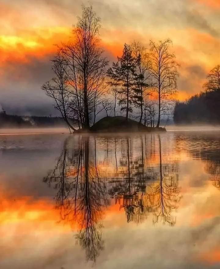 Solve Reflective Day jigsaw puzzle online with 168 pieces