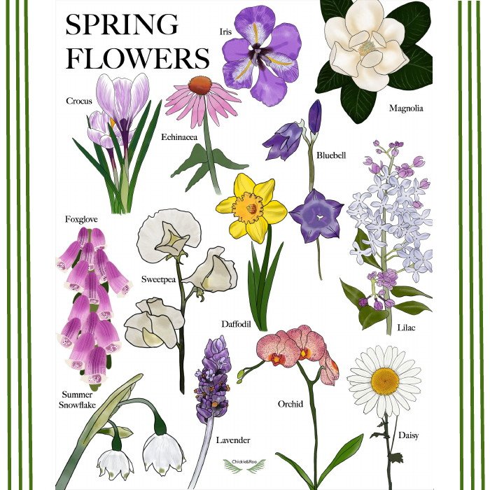Solve Spring Flowers jigsaw puzzle online with 25 pieces