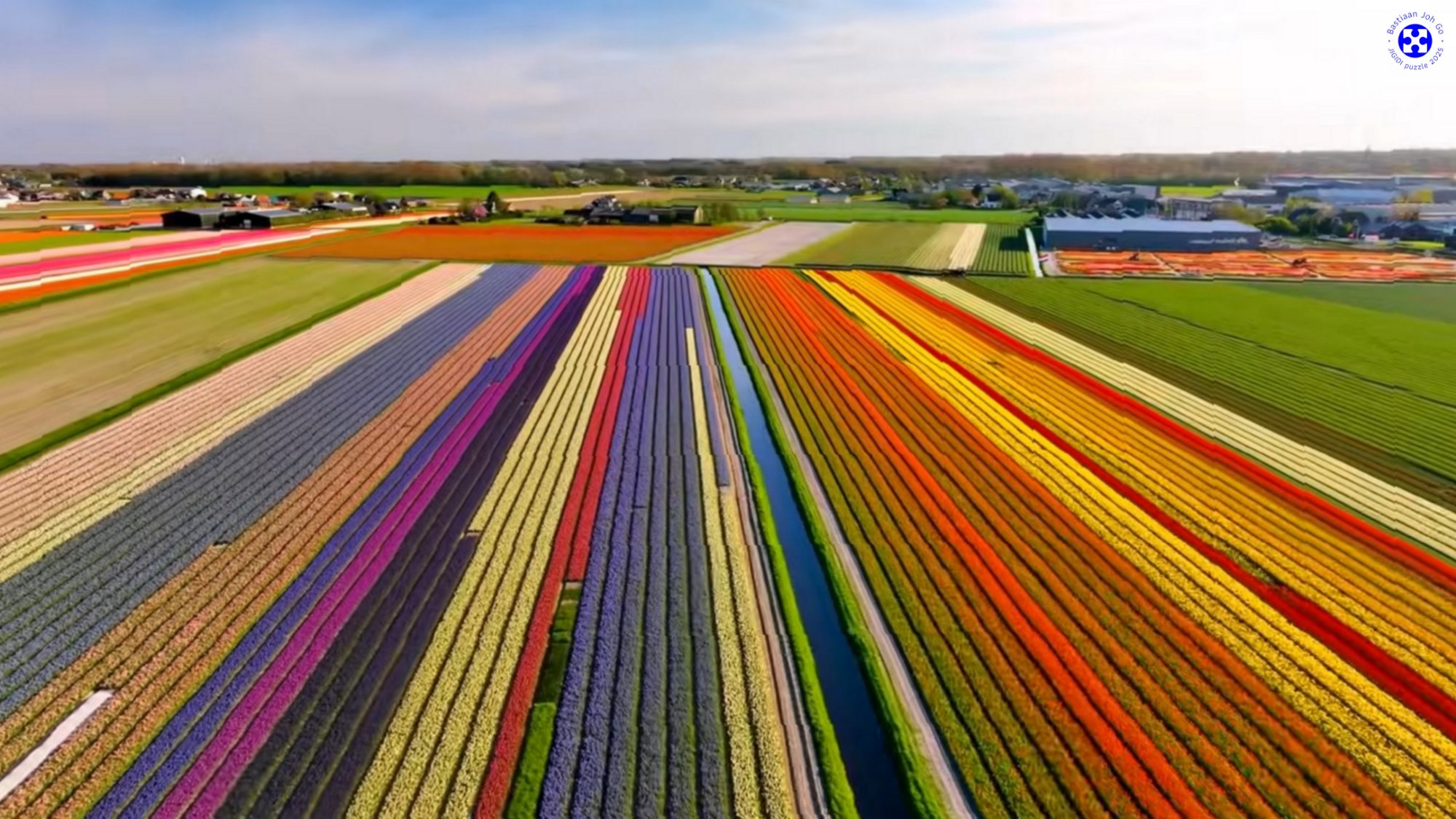 Solve Bloemenvelden, Nederland. 🇳🇱 jigsaw puzzle online with 252 pieces