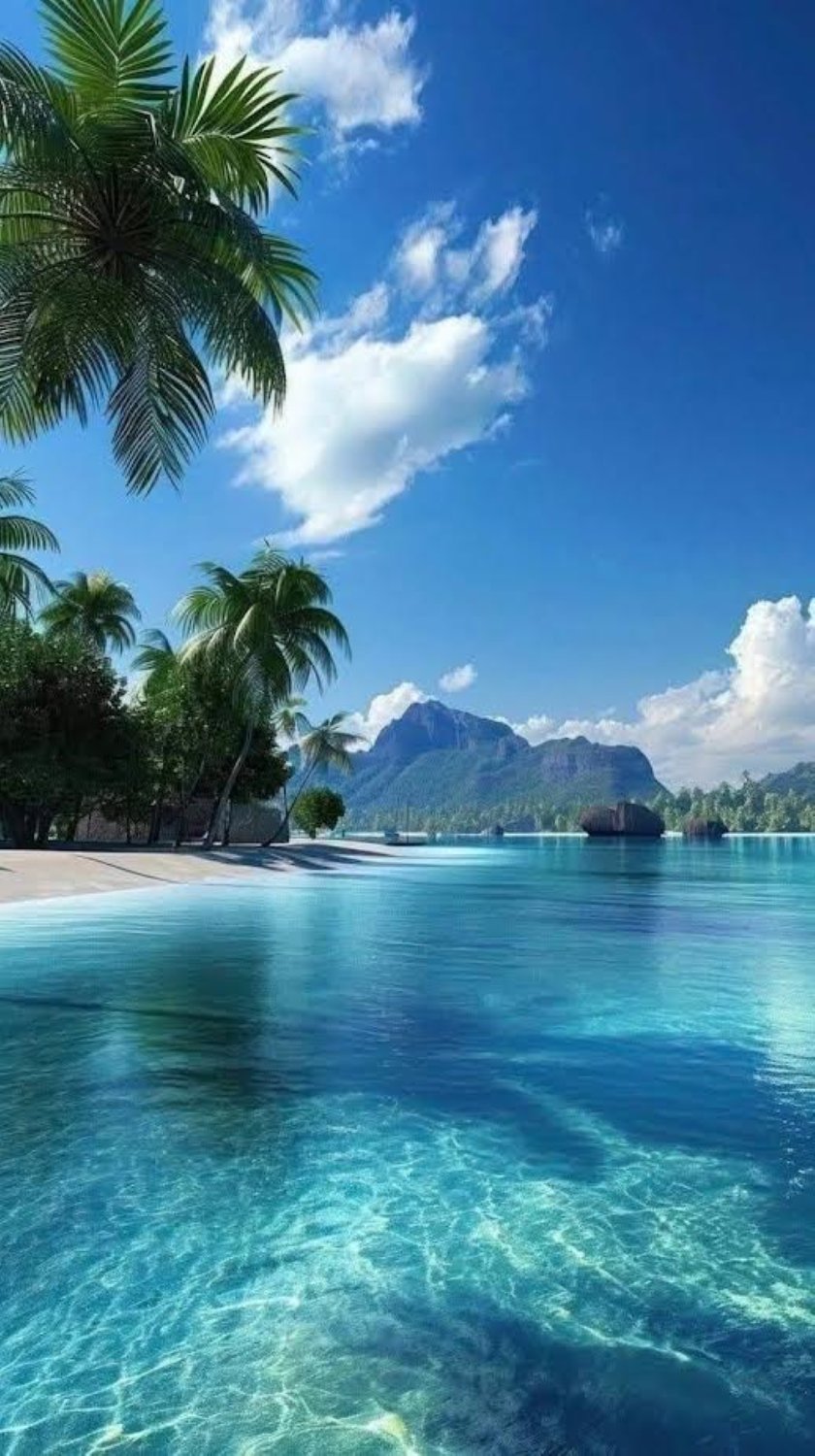 Jigsaw Puzzle | 91 pieces | Tropical Beach | Jigidi