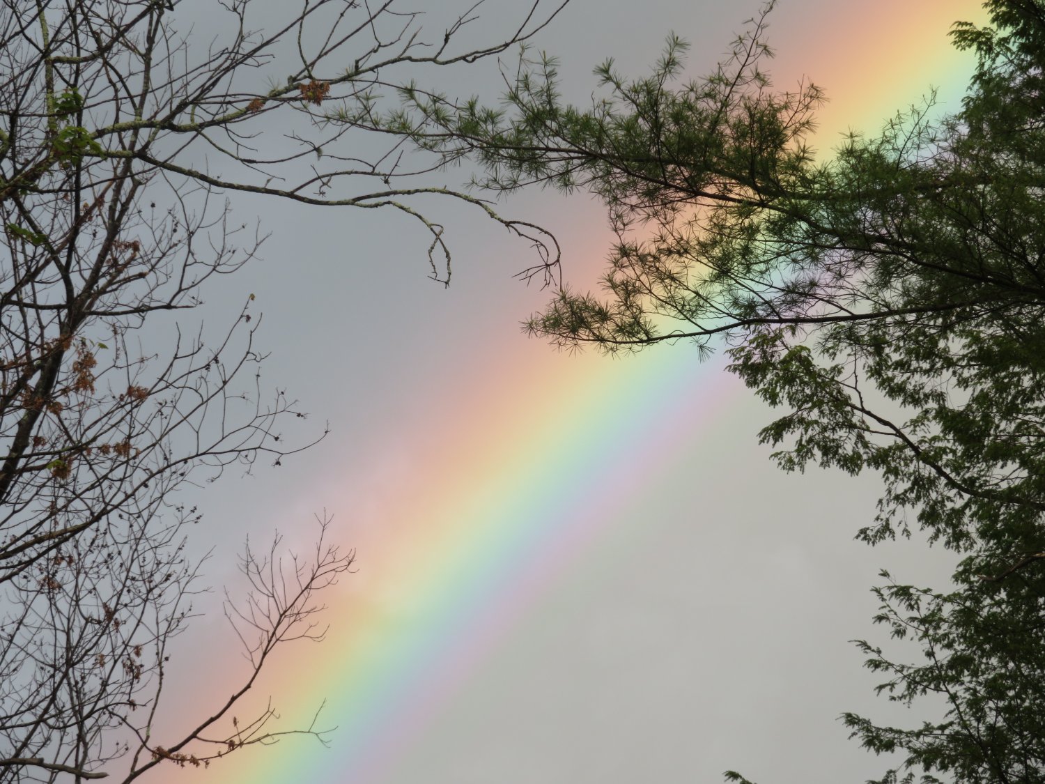 Jigsaw Puzzle | 30 pieces | A beautiful rainbow. | Jigidi