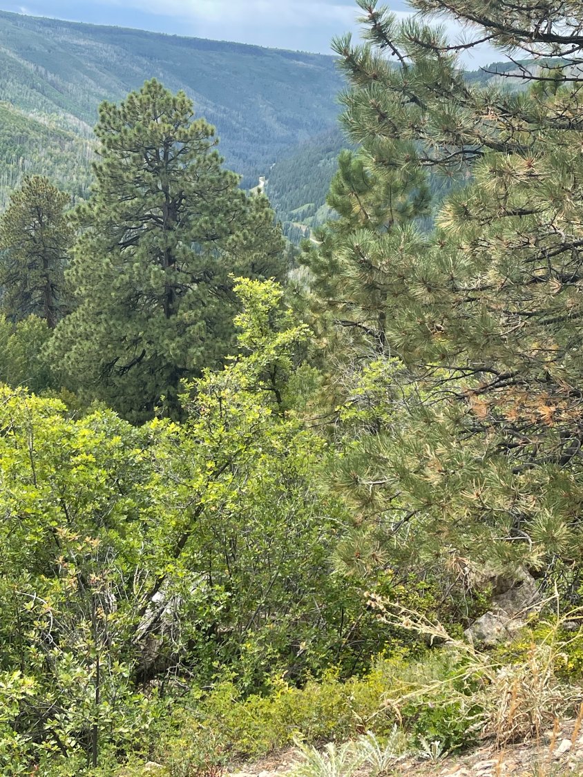 Solve Stoner Mesa Colorado Jigsaw Puzzle Online With 20 Pieces