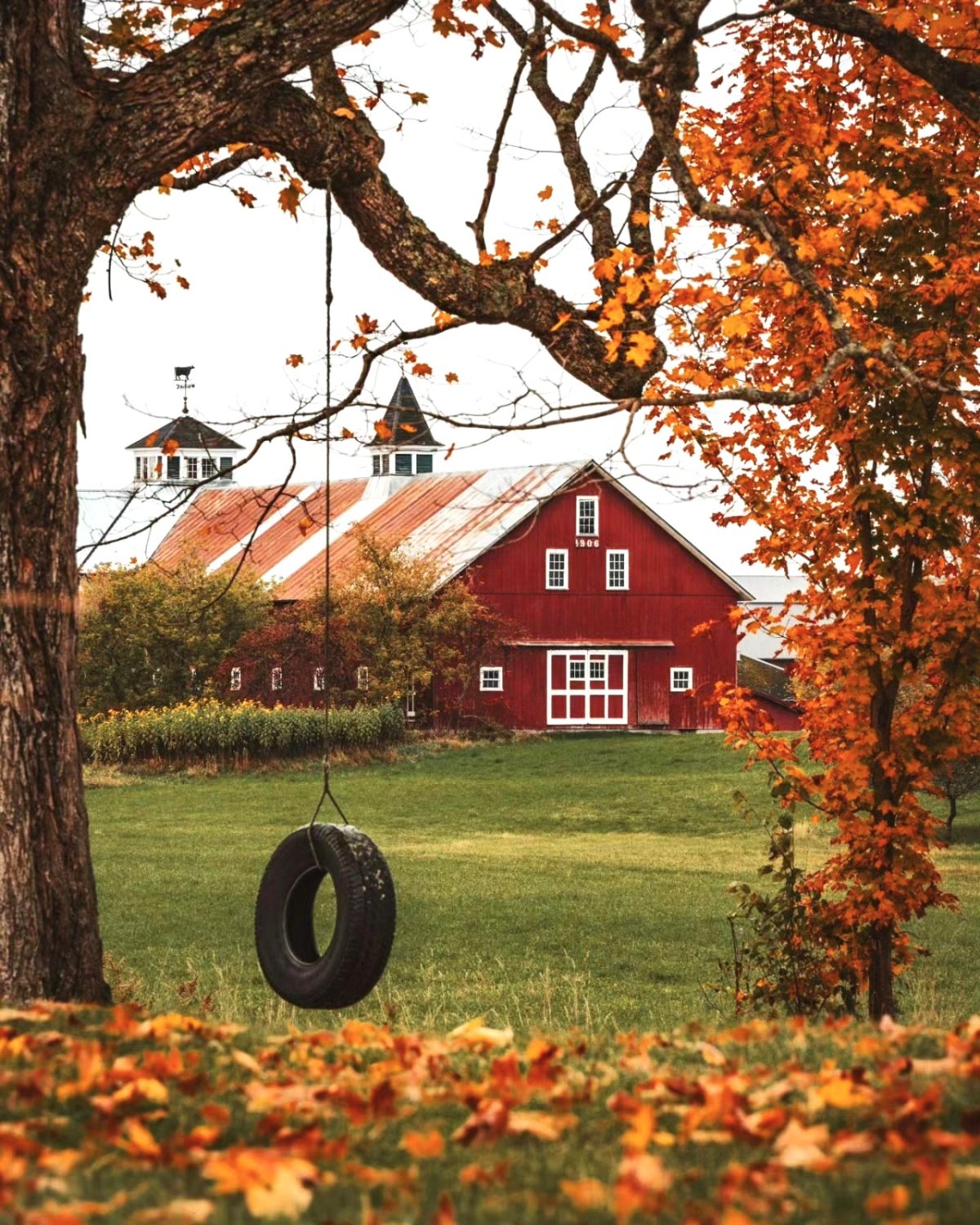 Solve Neat home or barn? jigsaw puzzle online with 120 pieces