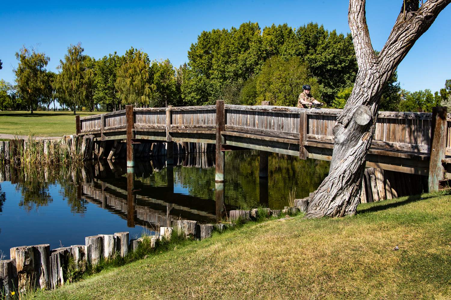 Solve Nicholas Sheran Park 006 jigsaw puzzle online with 70 pieces