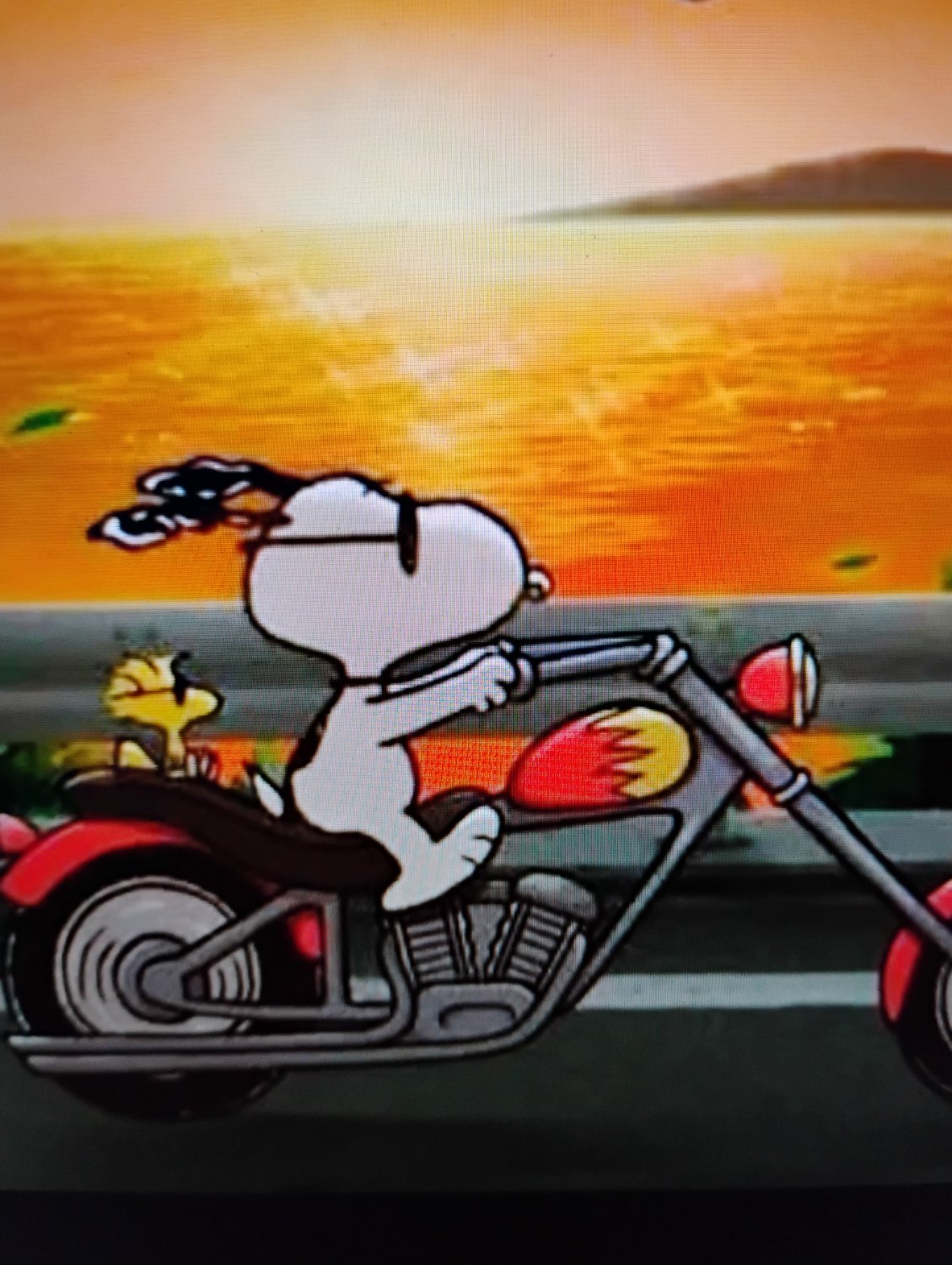 Solve The fast and free duo! 😊 jigsaw puzzle online with 63 pieces