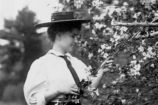 Solve Helen Keller jigsaw puzzle online with 12 pieces