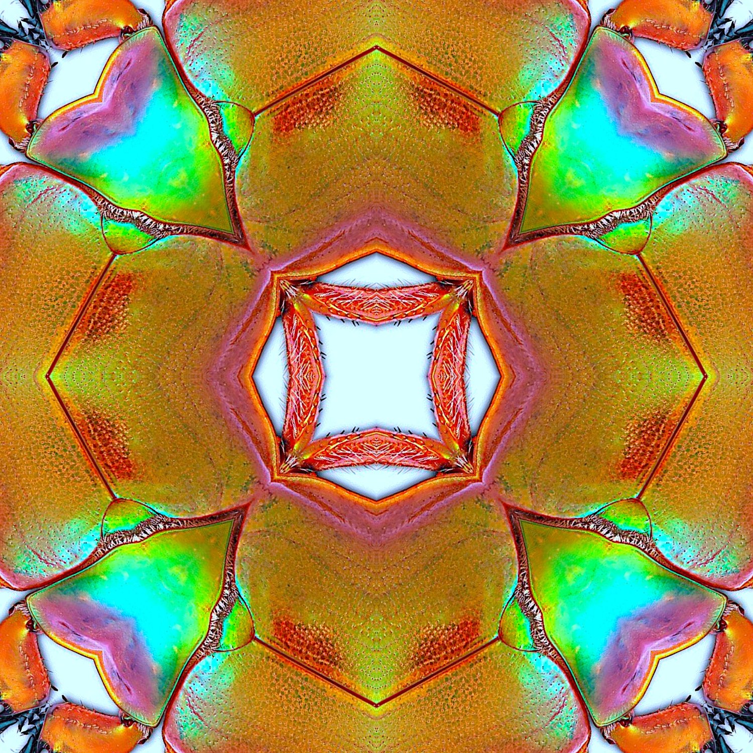 Solve #1 small jigsaw puzzle online with 64 pieces