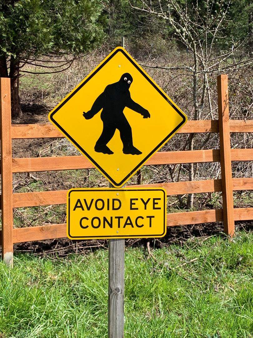 Solve sasquatch eyes jigsaw puzzle online with 30 pieces