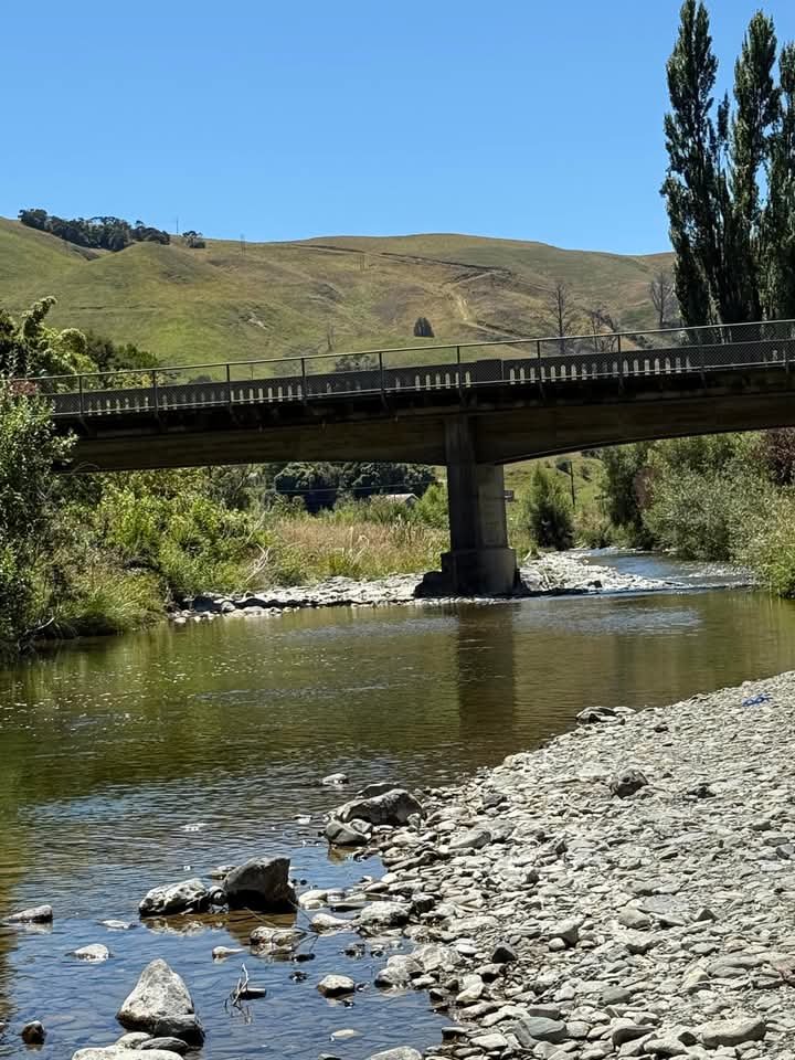 Solve Bridge over Matai river, Nelson jigsaw puzzle online with 12 pieces