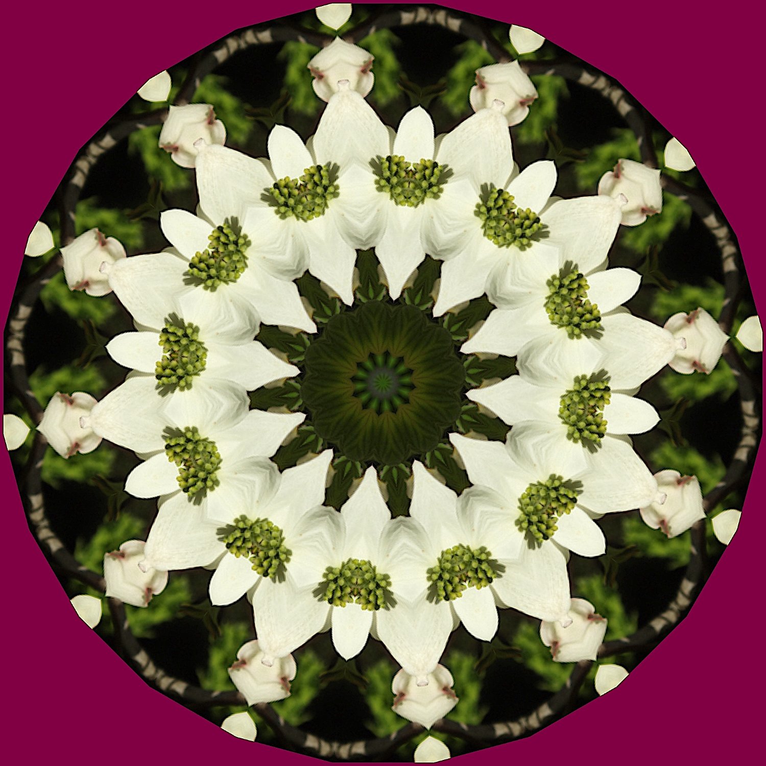 Solve #2 very large jigsaw puzzle online with 225 pieces