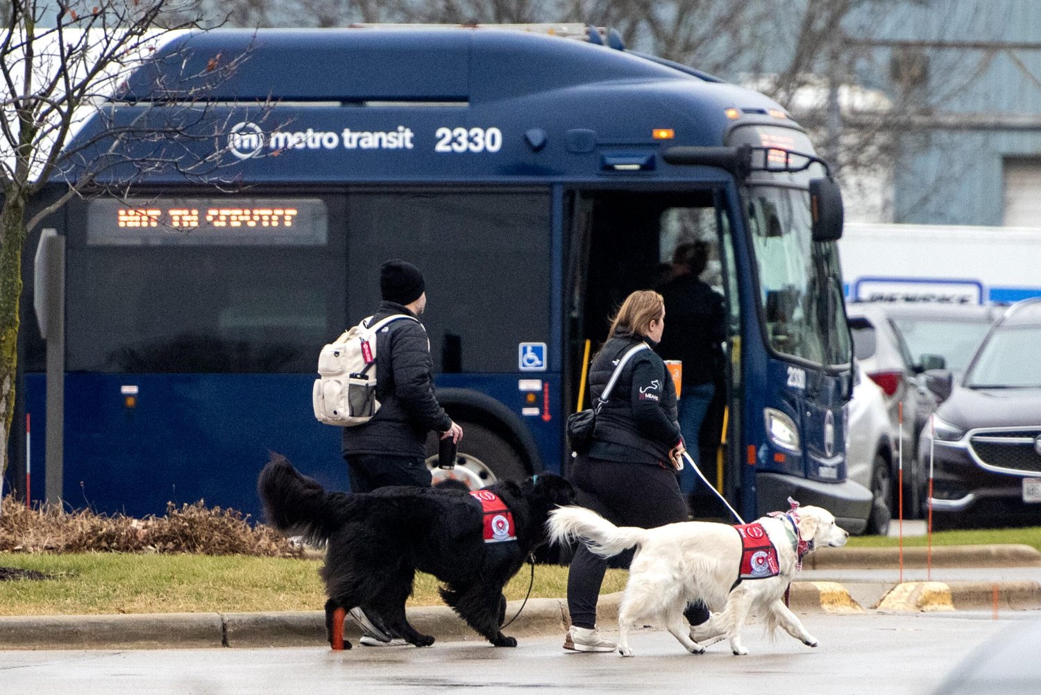 Solve Madison Social Worker Child Therapy dogs were on the scene of the ...