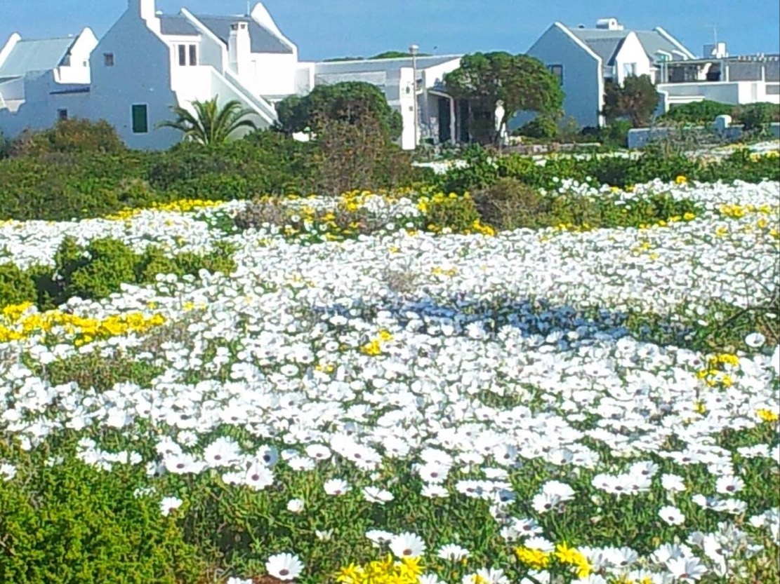Solve Paternoster on the West Coast. Cape Peninsula. jigsaw puzzle ...