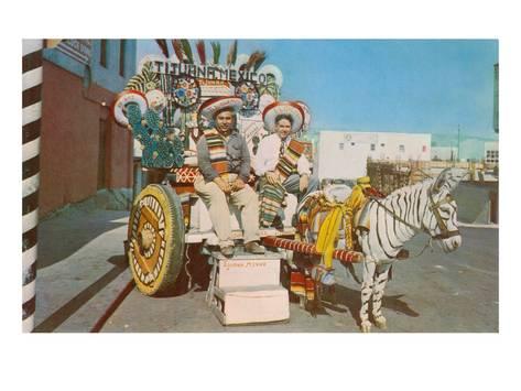 Solve zebra-donkey-cart-tijuana-mexico jigsaw puzzle online with 12 pieces