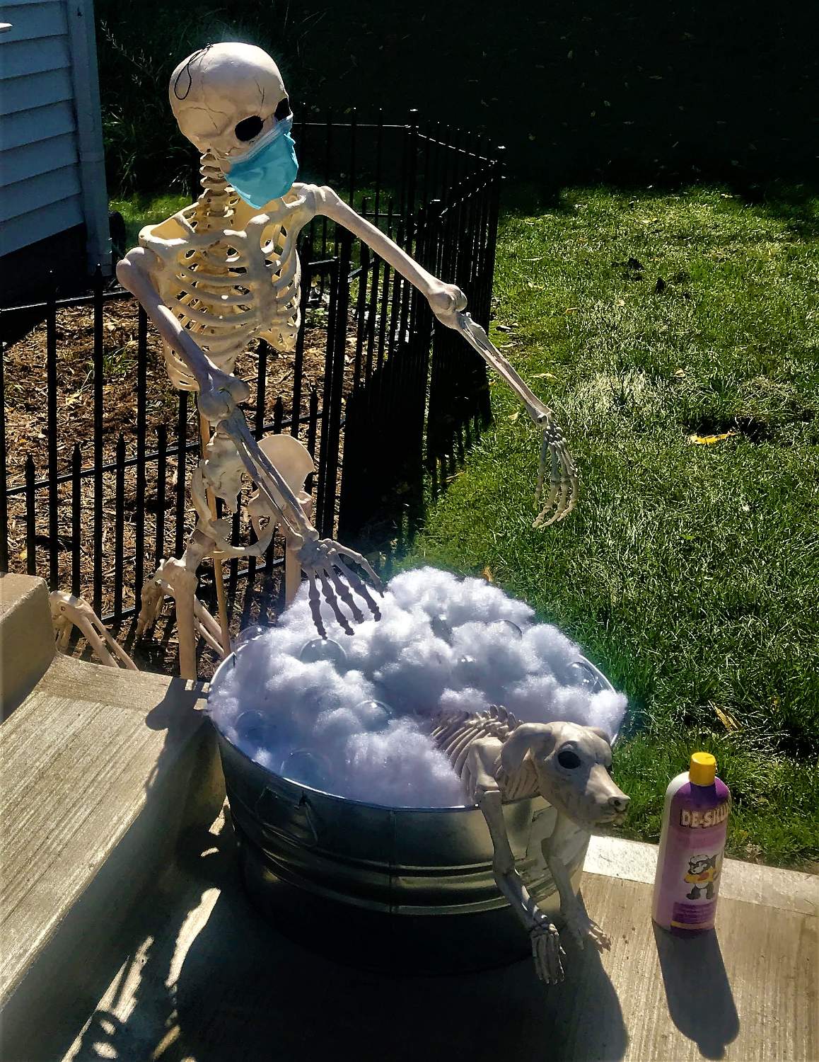 Solve Skeleton Washing His Dog jigsaw puzzle online with 130 pieces