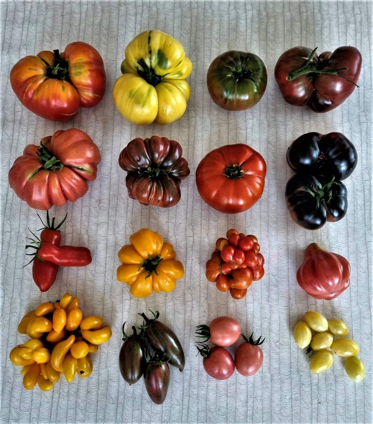 Solve Tomato varieties jigsaw puzzle online with 132 pieces