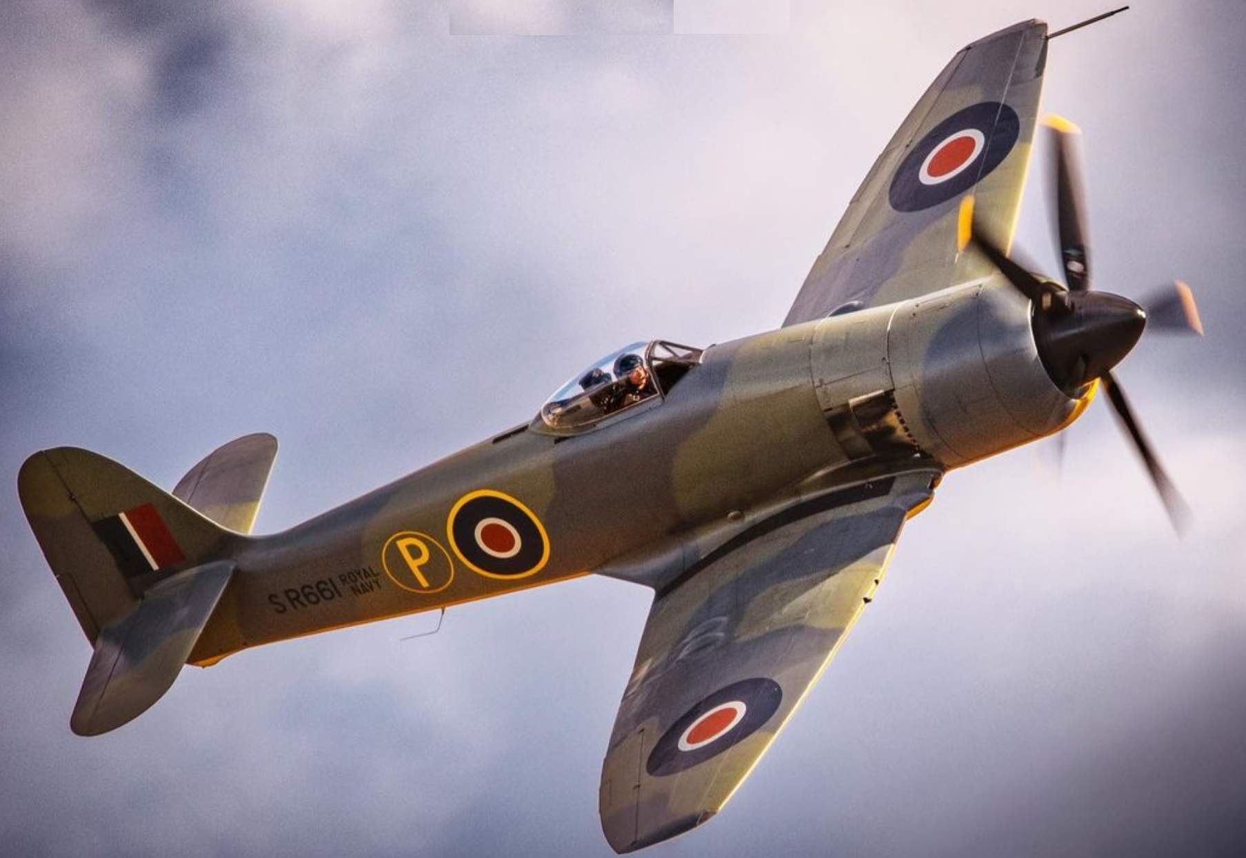 Solve fgsg jigsaw puzzle online with 150 pieces