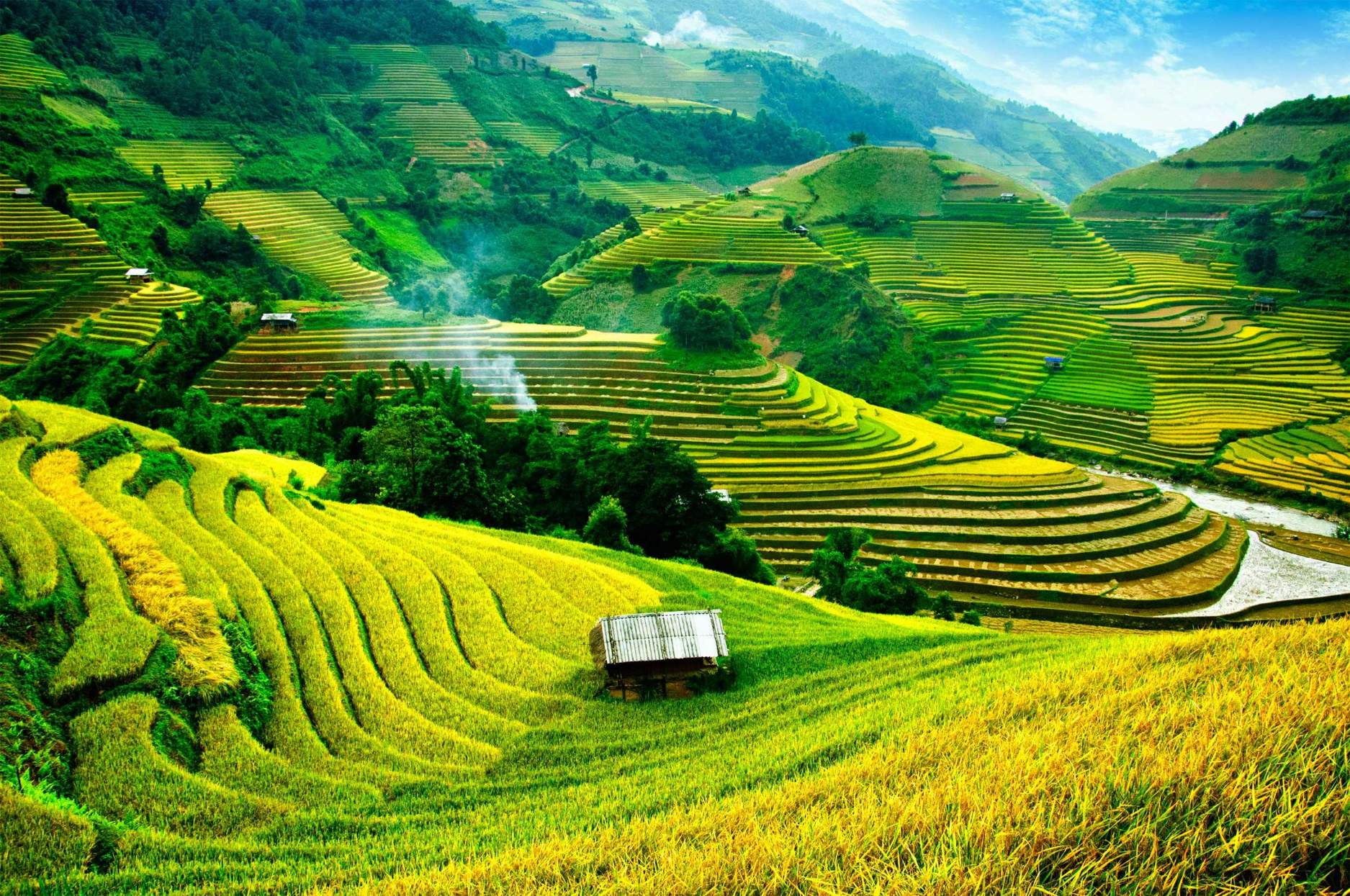 Solve Rice terraces in North Vietnam jigsaw puzzle online with 150 pieces