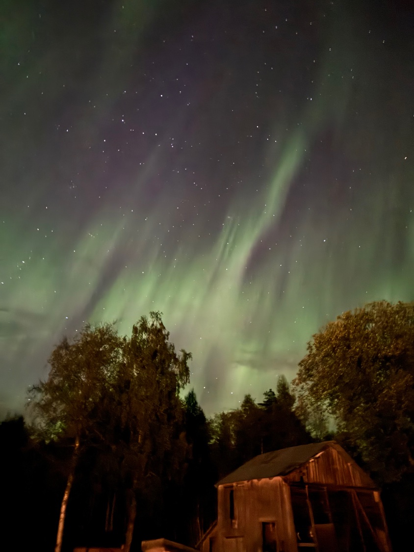 Solve Aurora💚 jigsaw puzzle online with 20 pieces