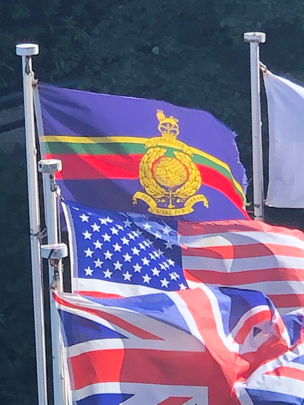 Solve Flags jigsaw puzzle online with 99 pieces