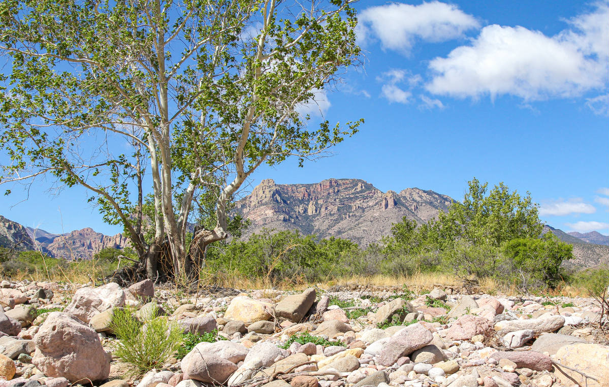 Solve PORTAL ARIZONA jigsaw puzzle online with 96 pieces