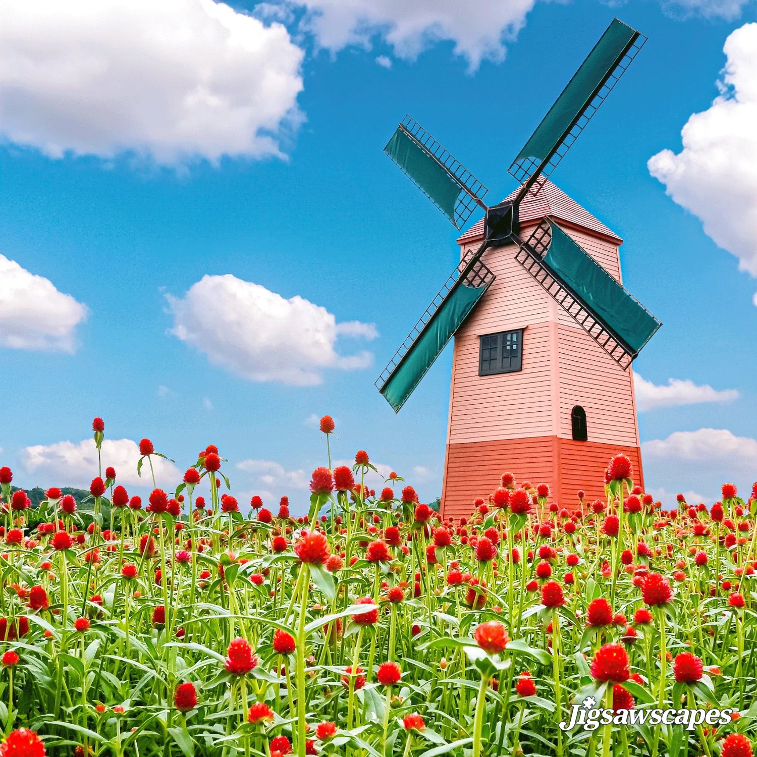 Solve Personality . . . . . jigsaw puzzle online with 64 pieces