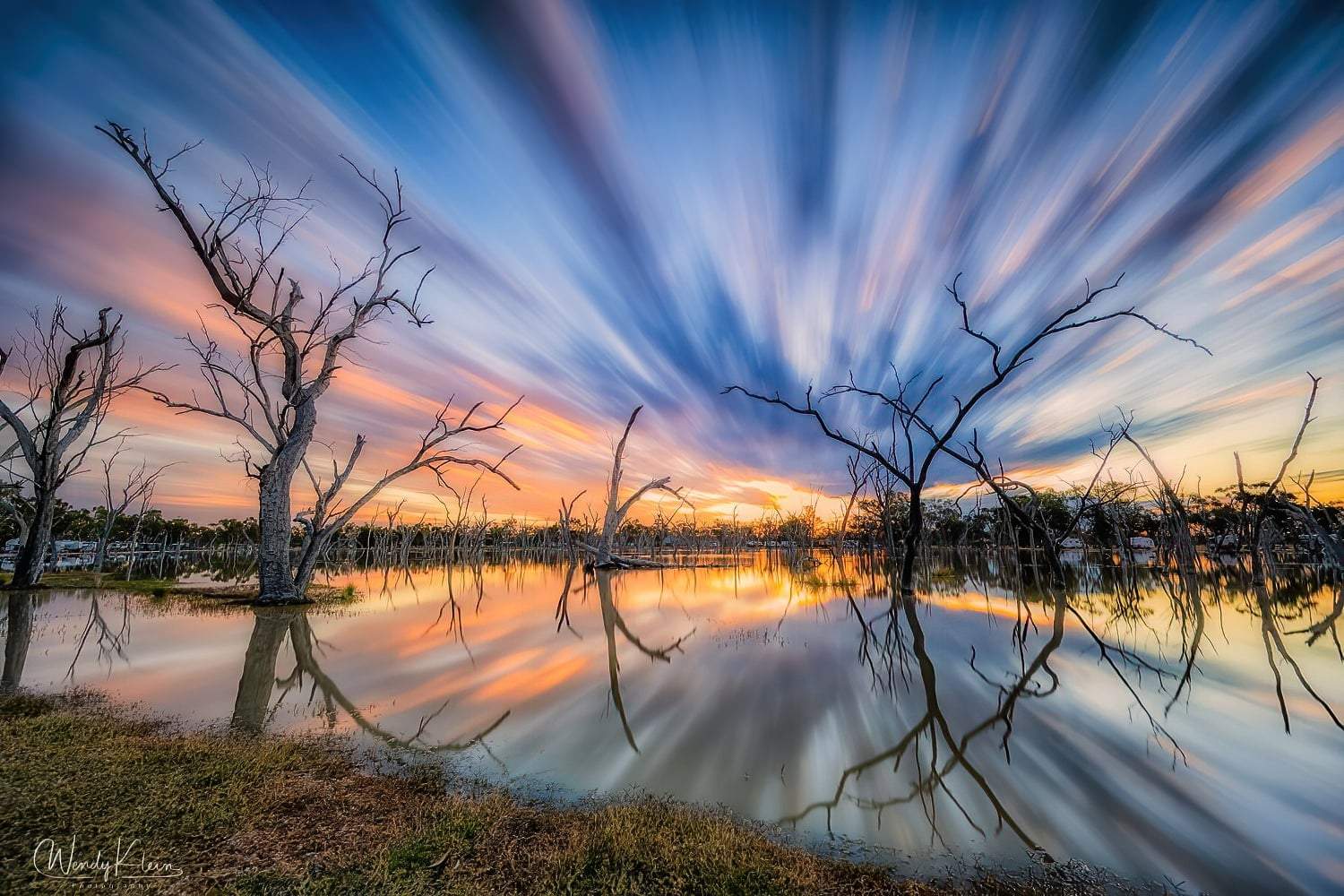 Solve Lara wetlands jigsaw puzzle online with 70 pieces