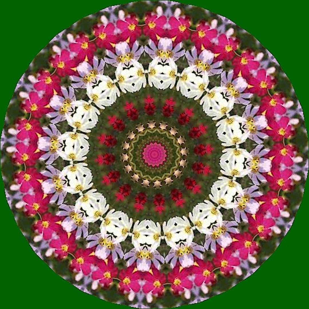 Solve #1 large jigsaw puzzle online with 144 pieces