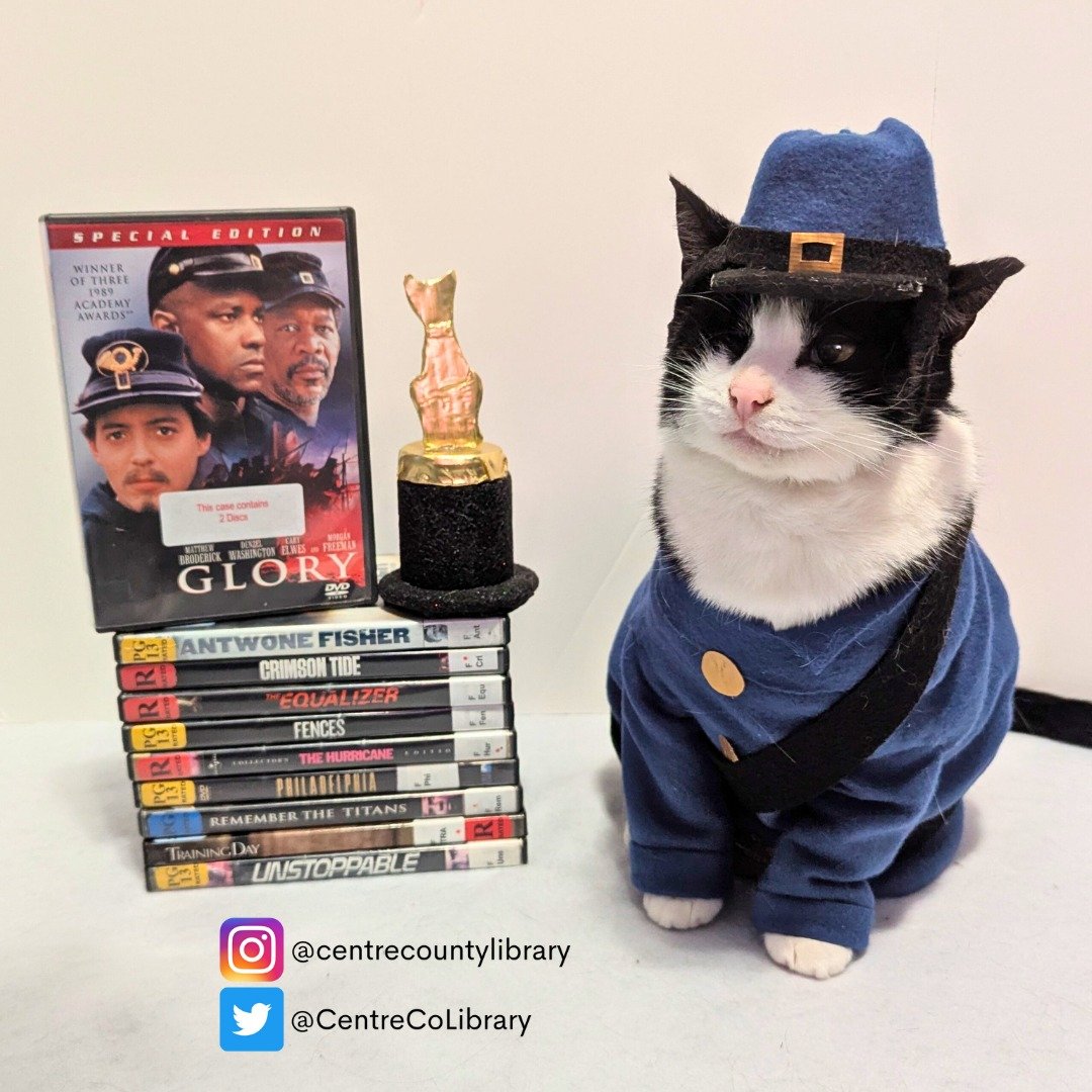 Solve Cat Icon Game #241 - Jojo the Pirate Cat celebrates Denzel ...