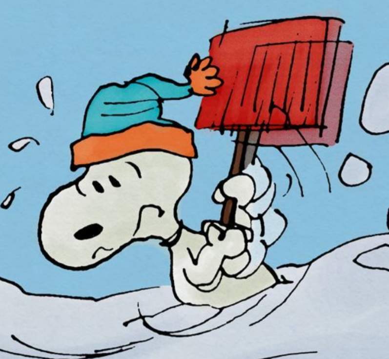 Solve Snoopy jigsaw puzzle online with 9 pieces